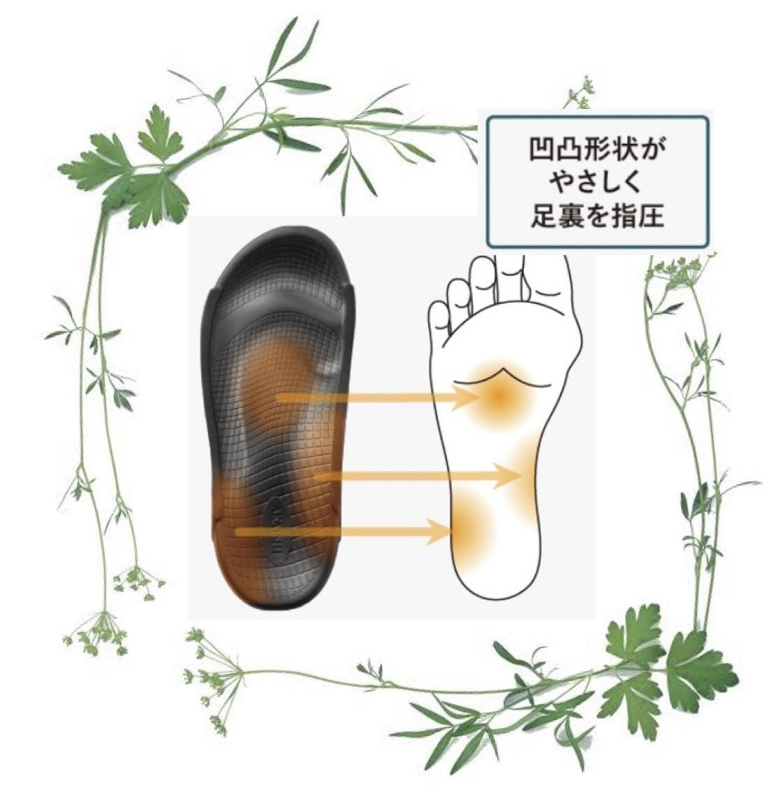 unnamed (13) – AKAISHI 直営店